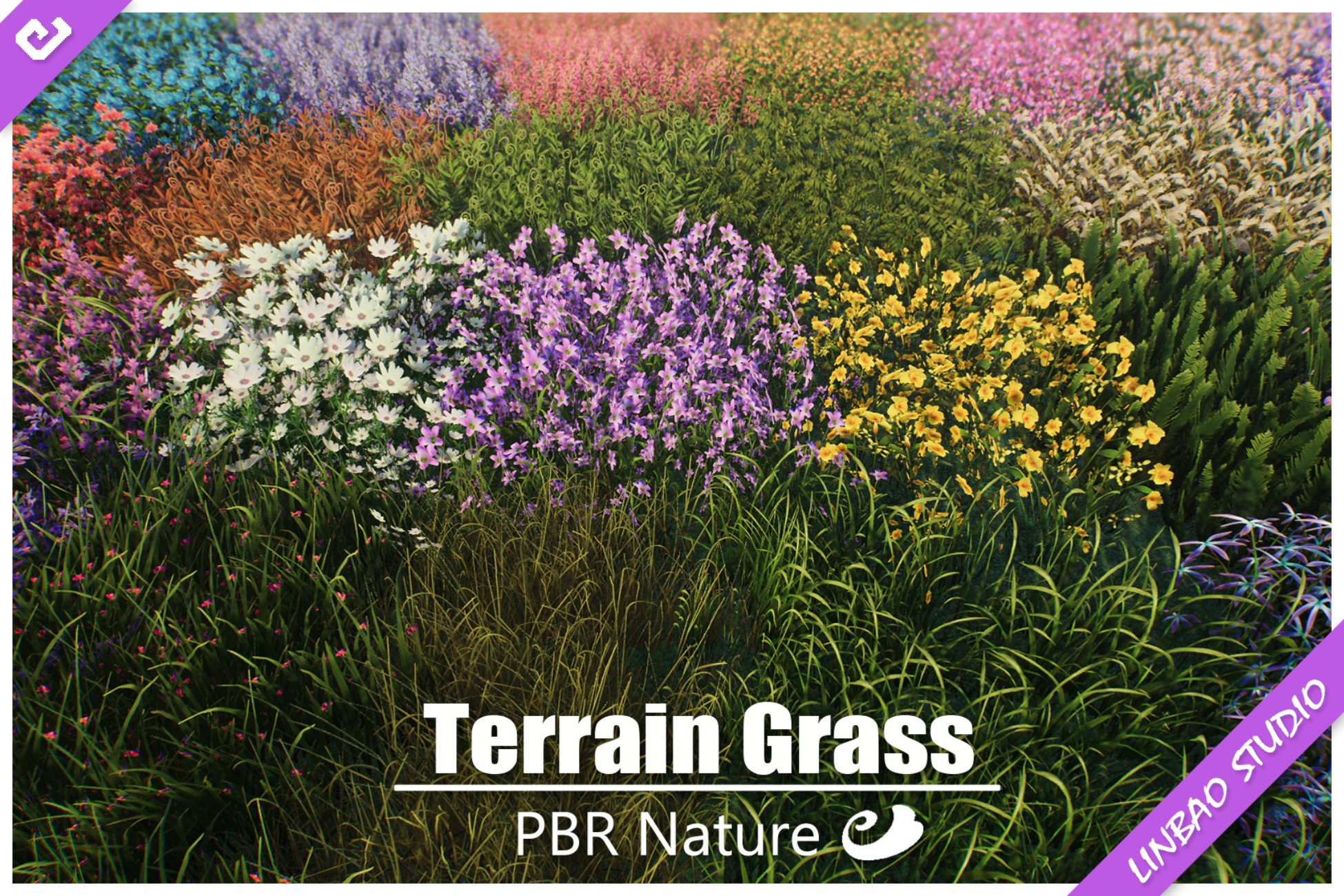 Terrain Grass Pack | 3D 植物 | Unity Asset Store