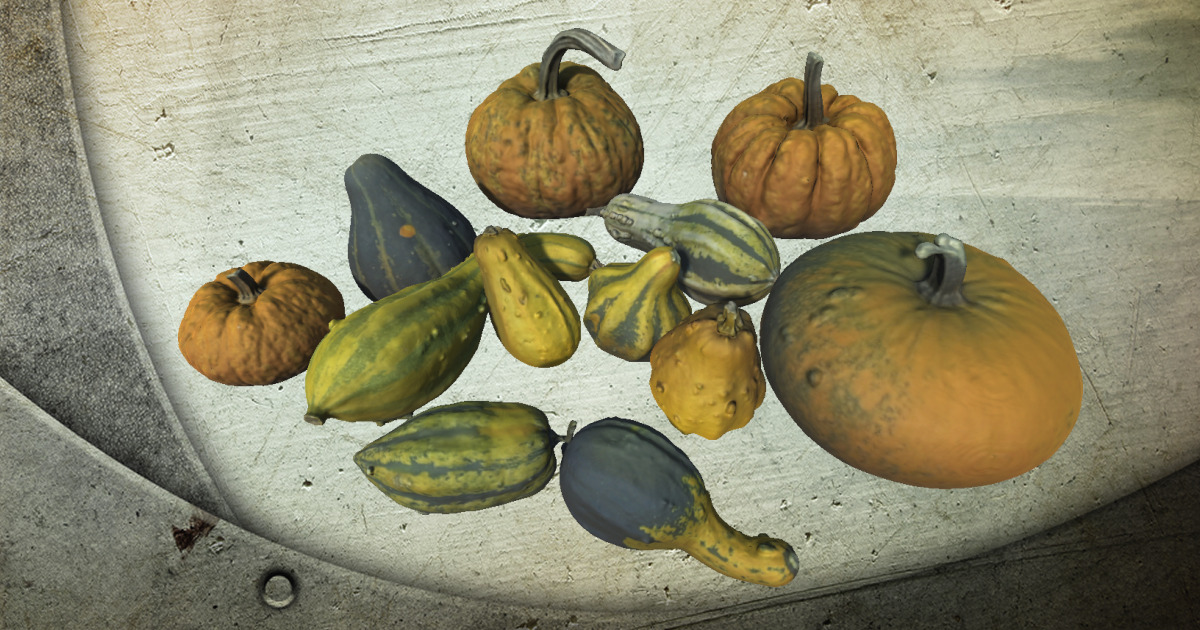Scanned Pumpkins Lowpoly | 3D Food | Unity Asset Store
