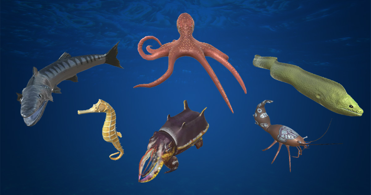Sea Creatures Pack | Characters | Unity Asset Store