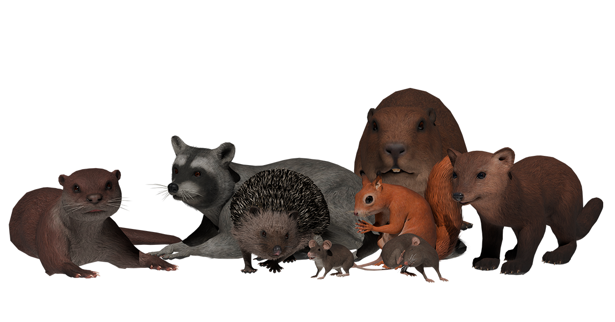 Pack of small animals | Characters | Unity Asset Store