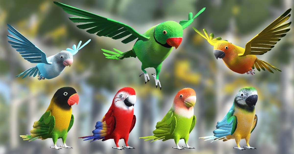 Ultimate Parrot Animations & Skins Pack | Characters | Unity Asset Store