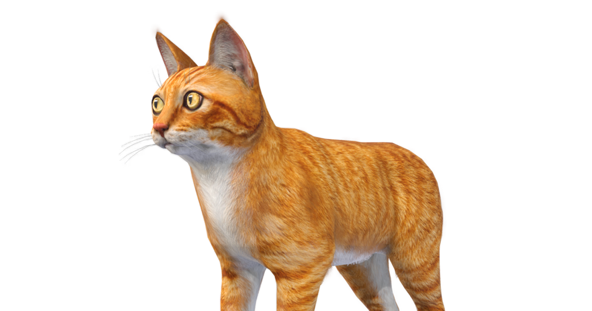 Cat - red color | Characters | Unity Asset Store