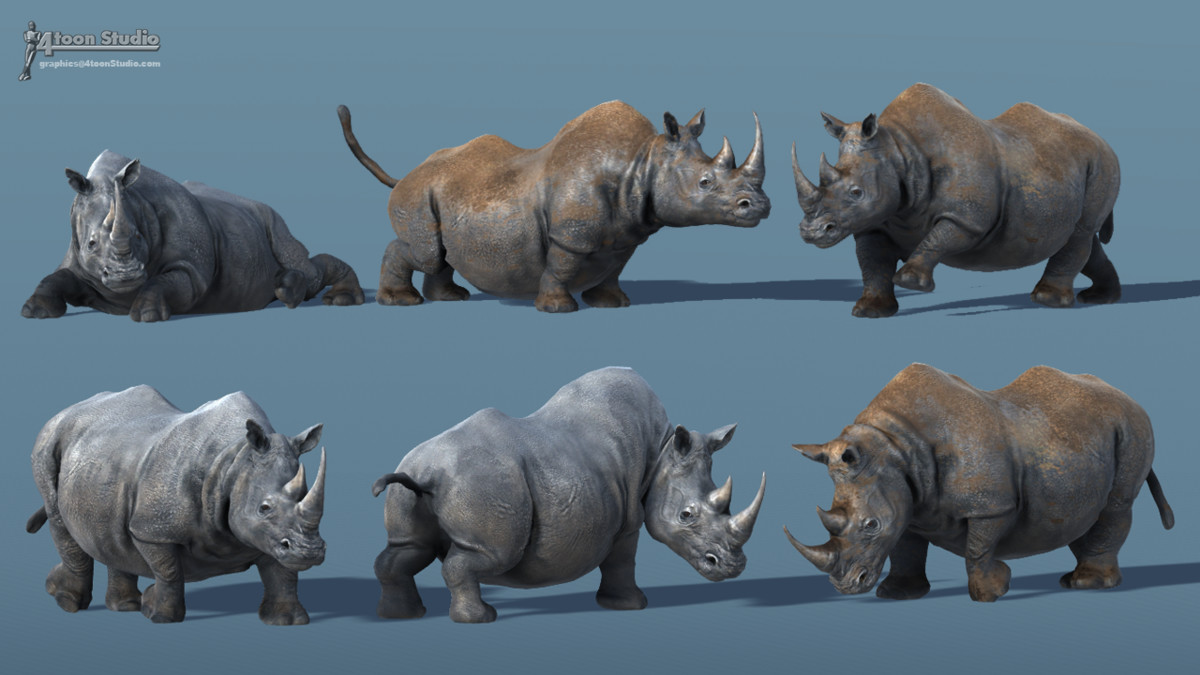 African Animal Rhinoceros Family