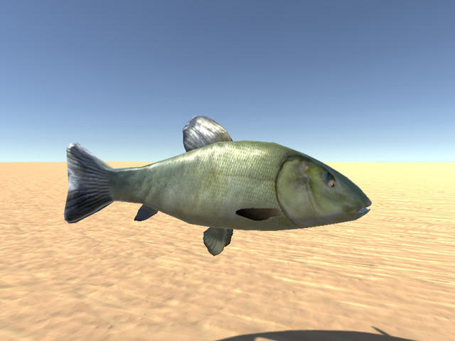 Freshwater fish complete pack