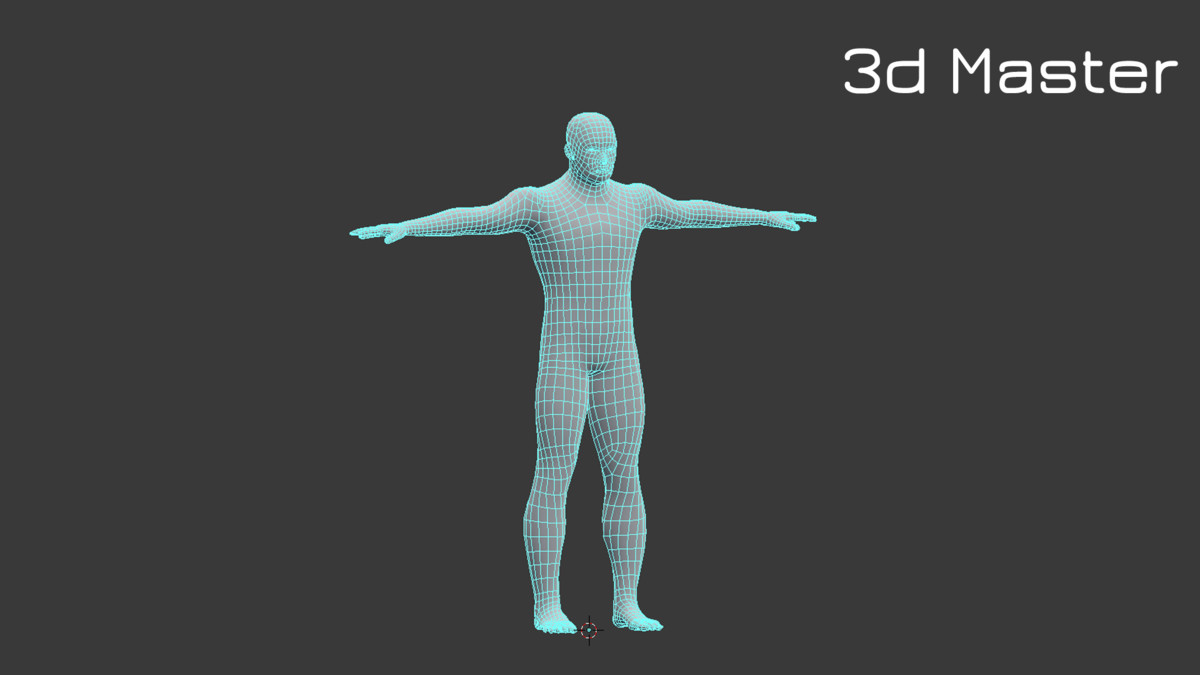 Human Anatomy Skeleton Muscle Body Internal Organs Lymphatic Humanoid ...