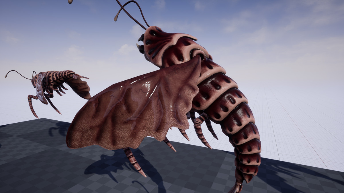 Flying Shrimp Monster