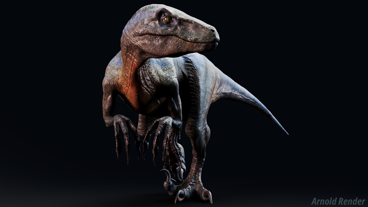 Dinosaur Raptor Dinosaur - Hybrid Velociraptor