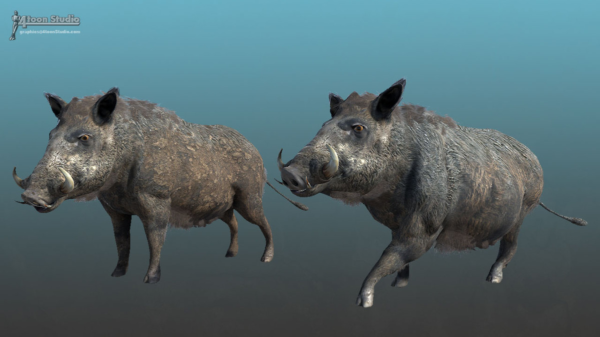 Forest Animal - Boar (Full)