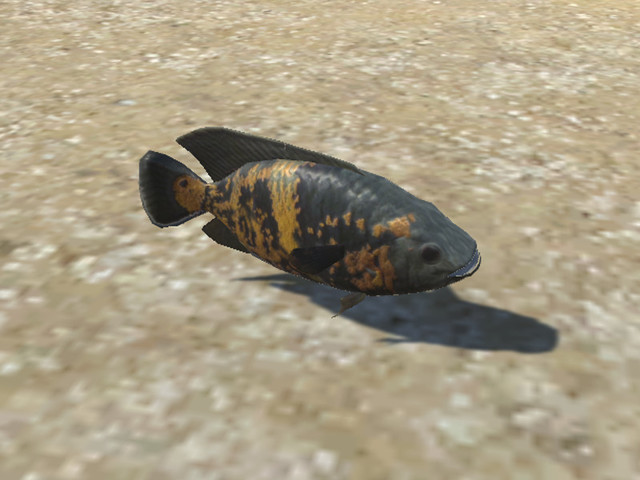 Freshwater fish complete pack