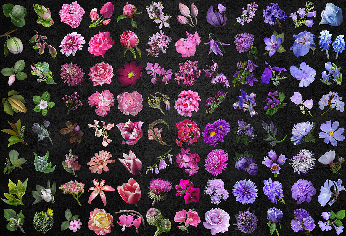 Megapack Flowers & Food