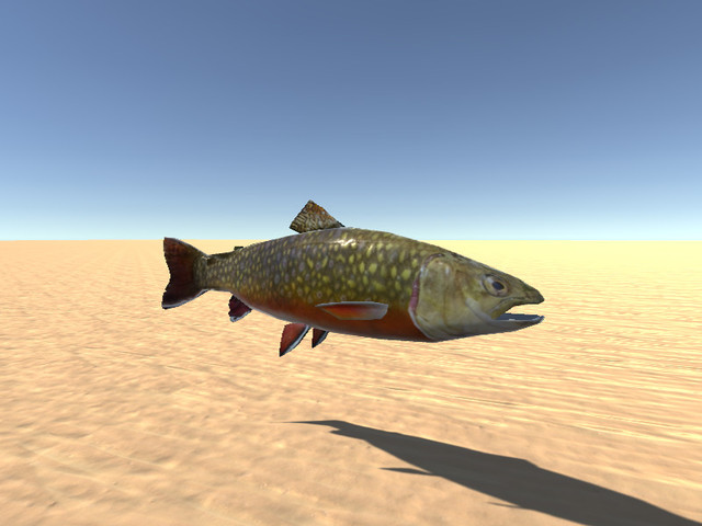 Freshwater fish complete pack