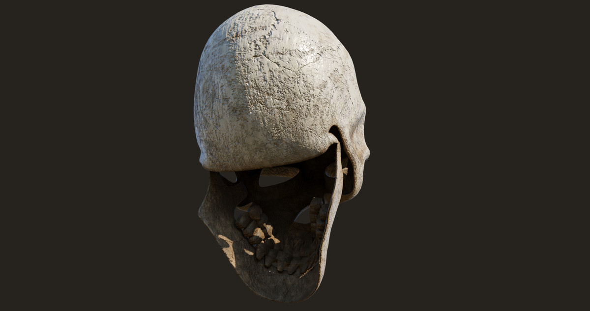 Crack old Skull URP and HDRP Textures