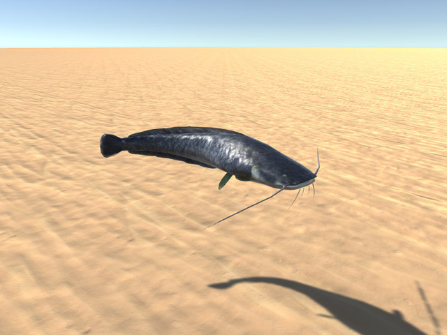 Freshwater fish complete pack