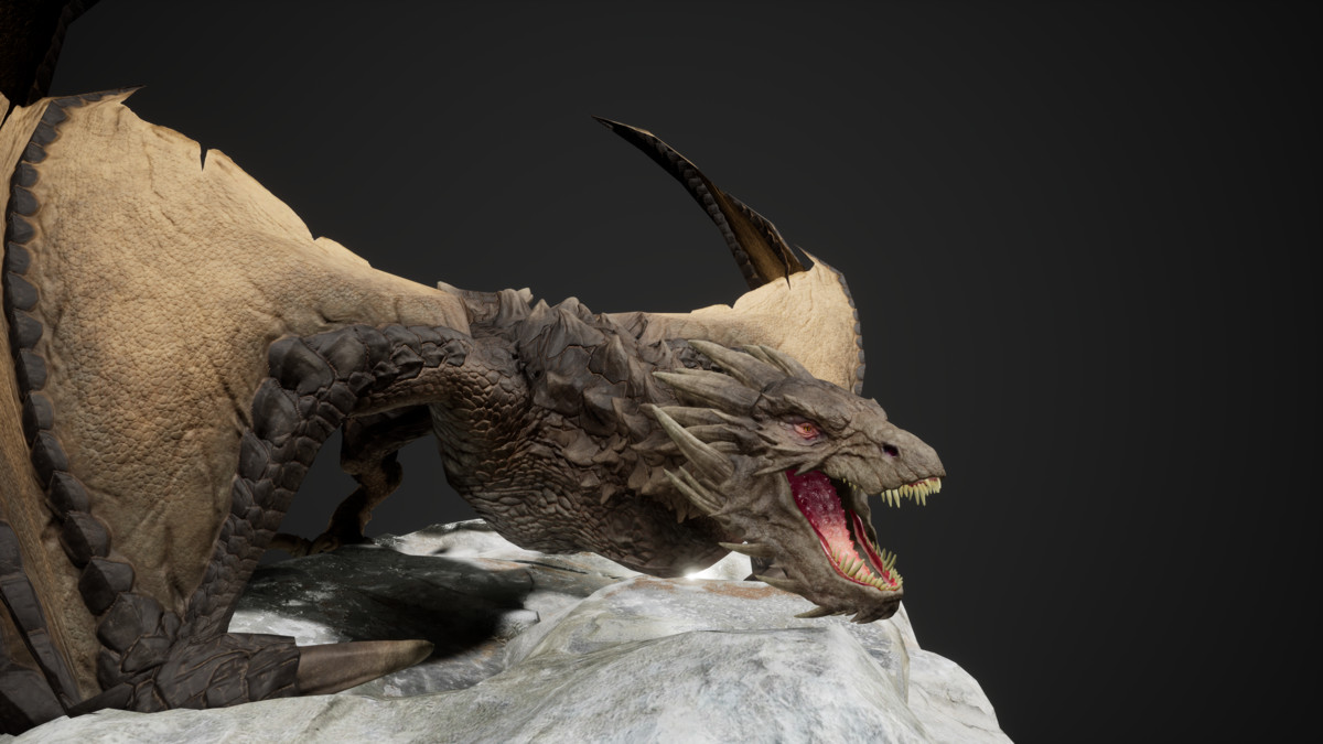 Dragon Wyvern Mountain