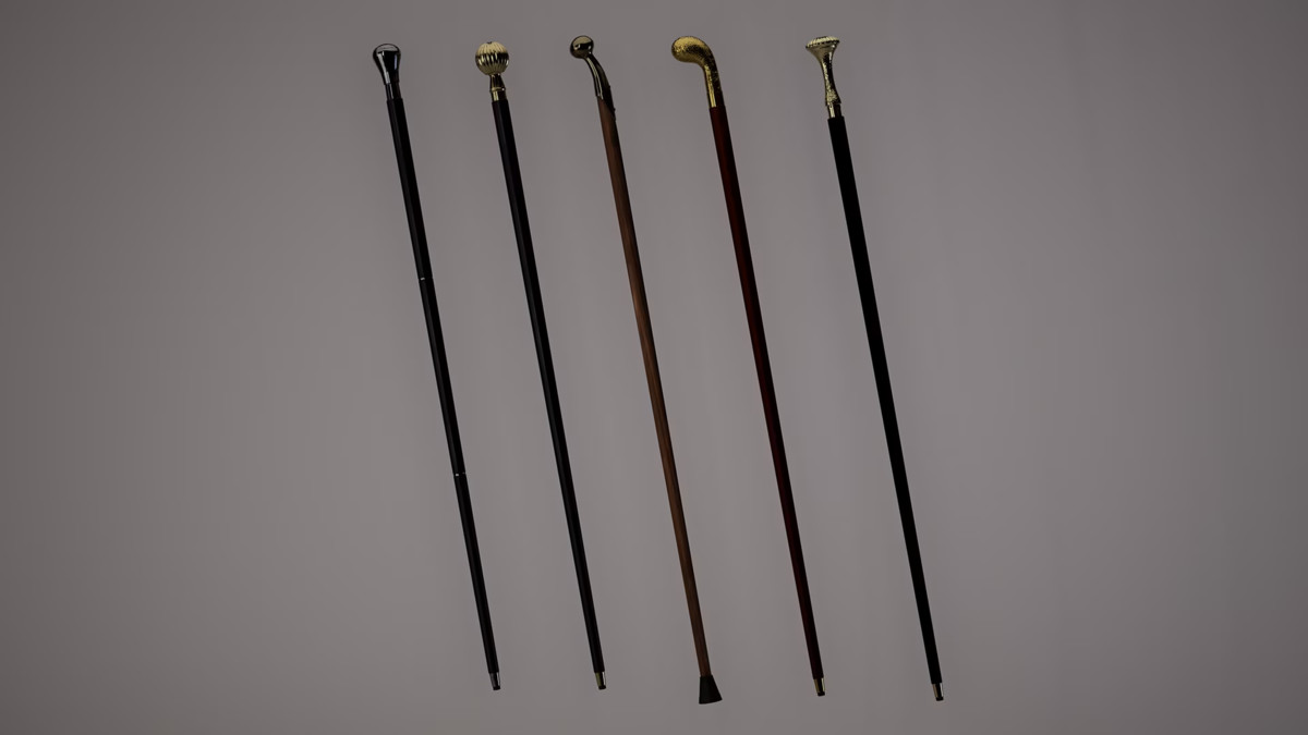 Walking sticks pack