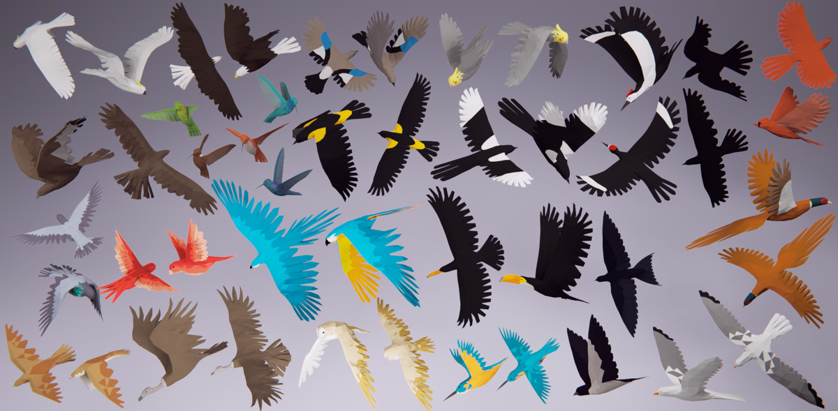 Low Poly Bird: Ultimate Pack