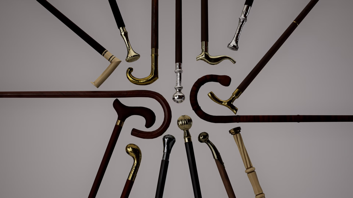 Walking sticks pack
