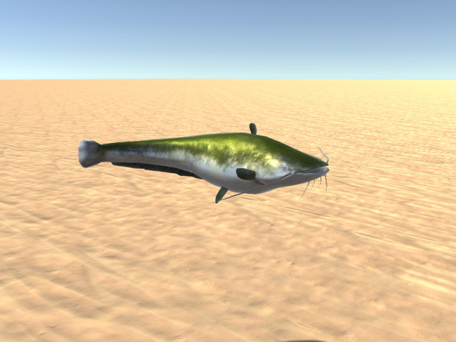 Freshwater fish complete pack