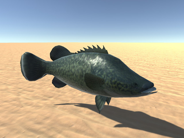 Freshwater fish complete pack