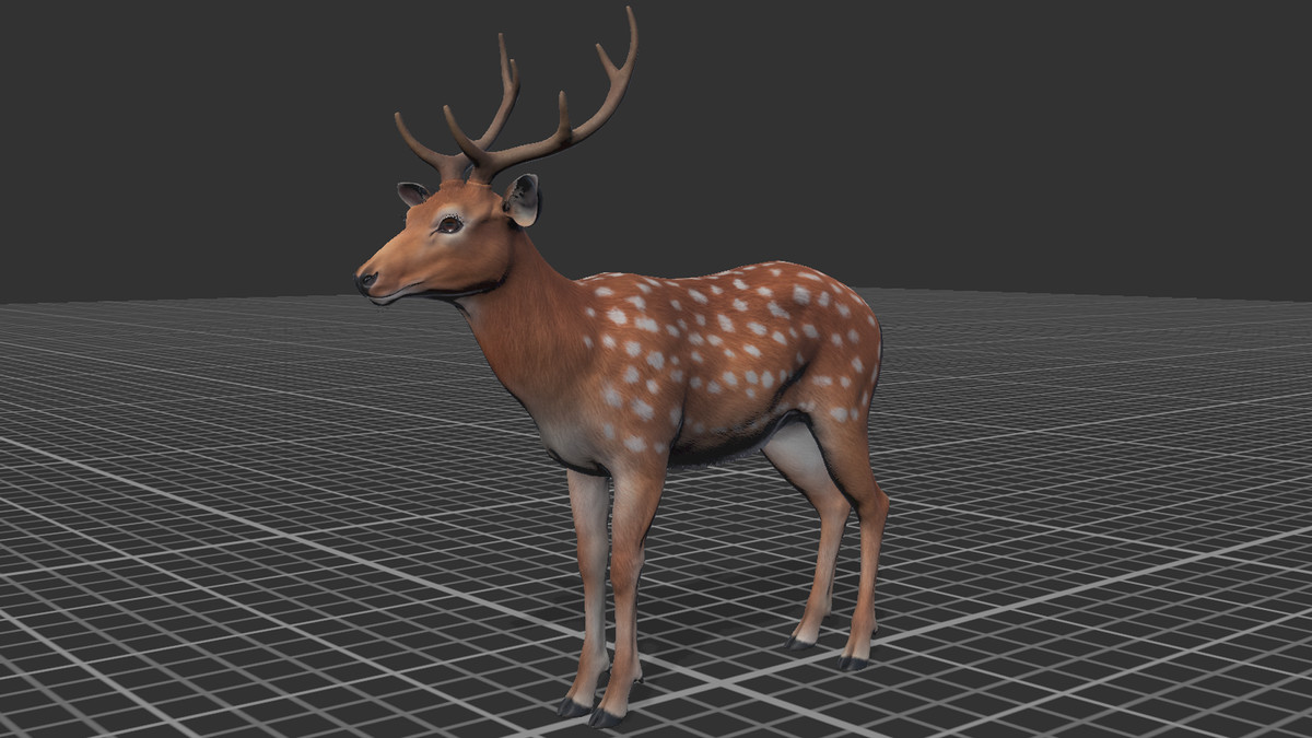 Deer - Stag