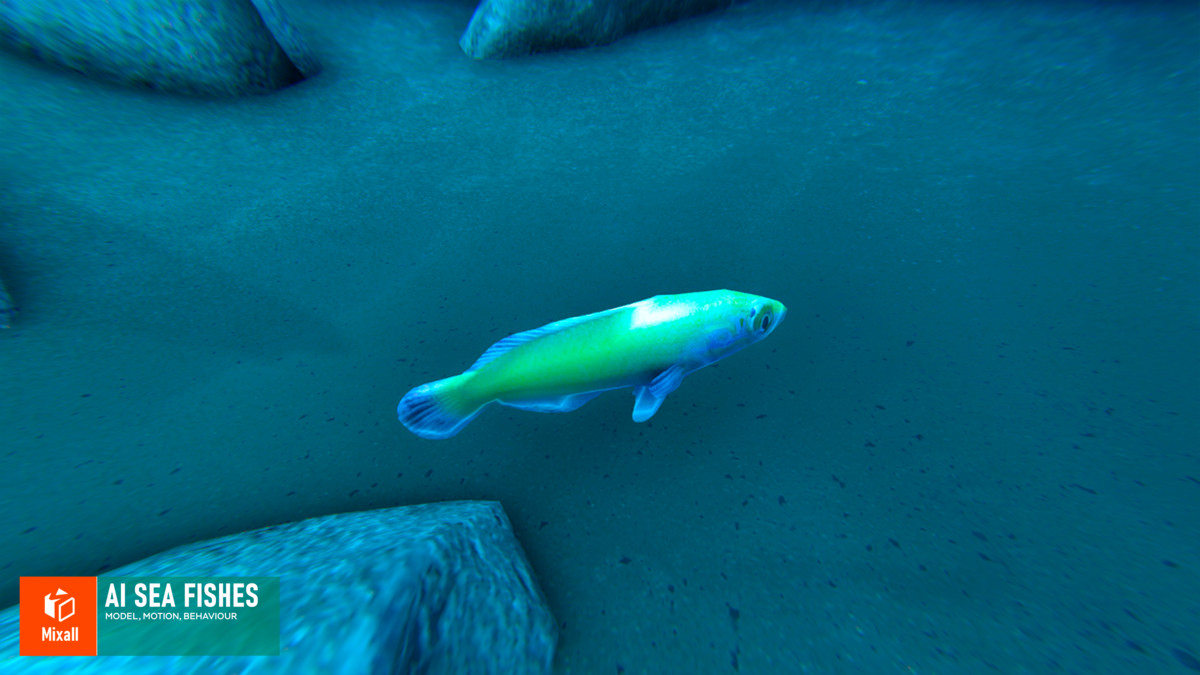 AI Sea Fishes - ready solutions for your project