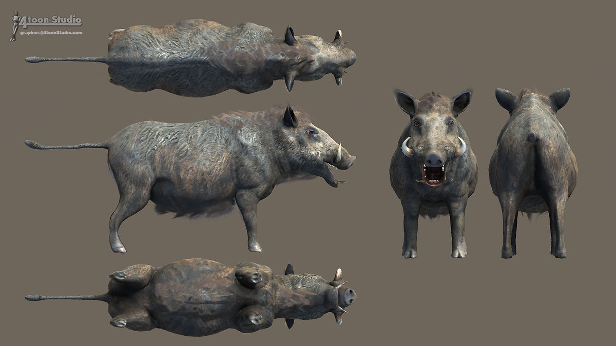 Forest Animal - Boar (Full)