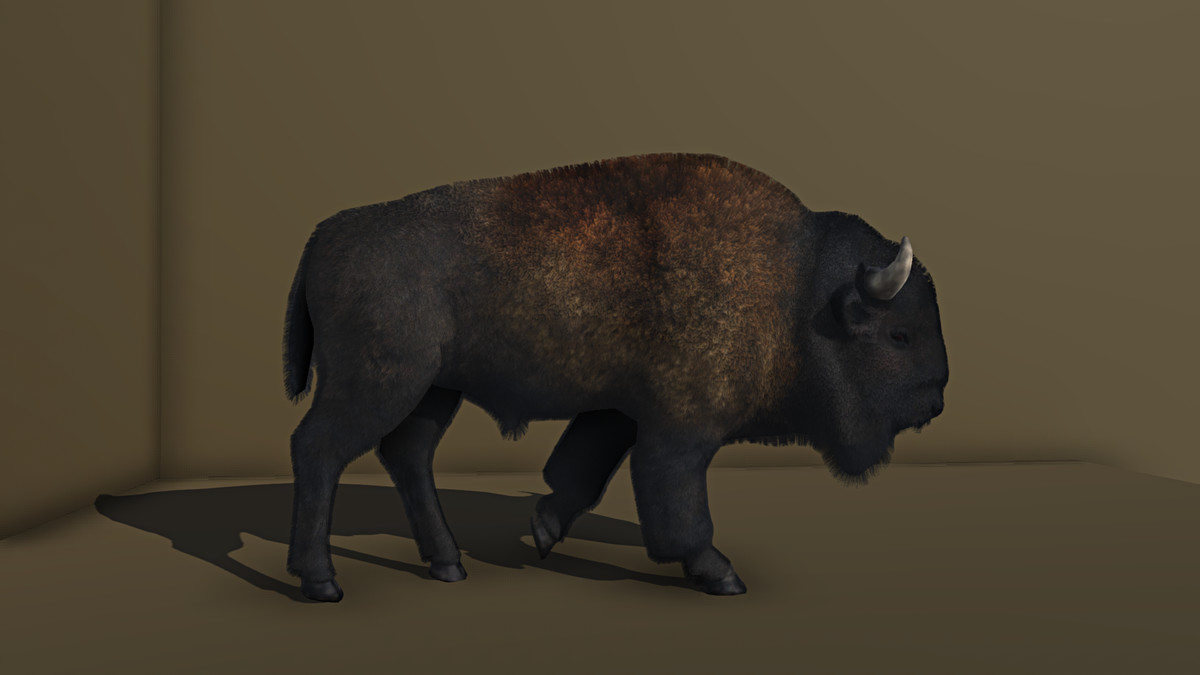 PIDI - Wild Beasts, Pack 1