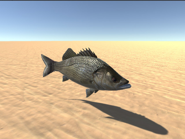 Freshwater fish complete pack