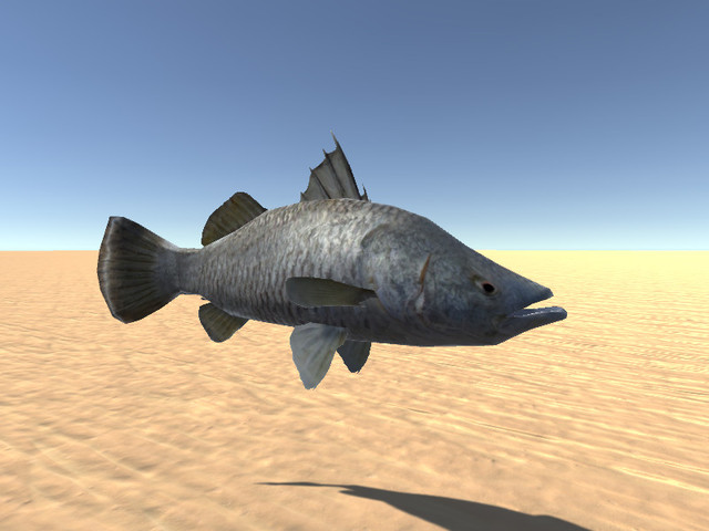 Freshwater fish complete pack