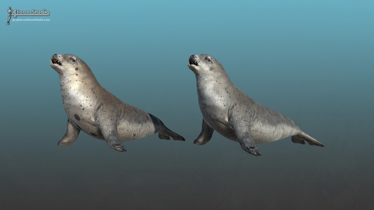 Arctic Animal Seal (Full Version)