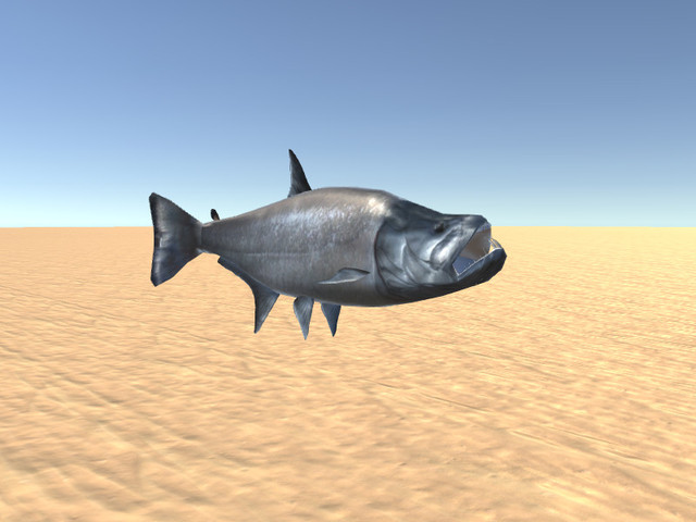 Freshwater fish complete pack