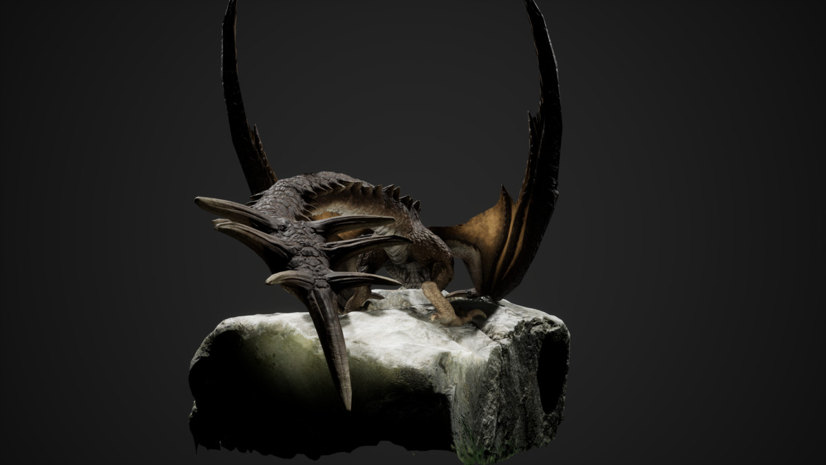 Dragon Wyvern Mountain