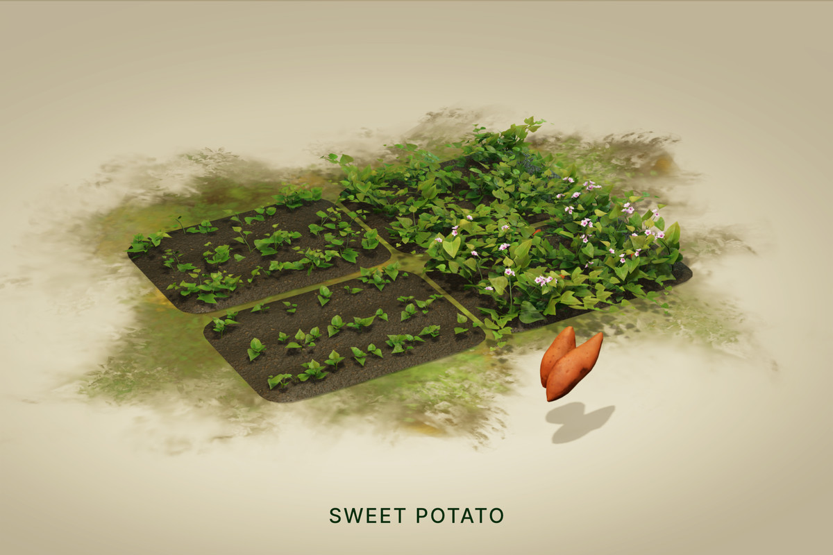 Wild Harvest: Root Vegetables