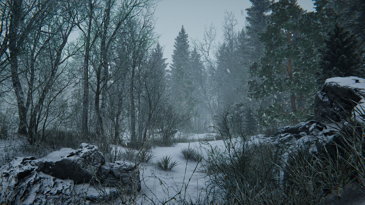 Winter Forest Environment