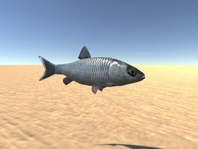 Freshwater fish complete pack