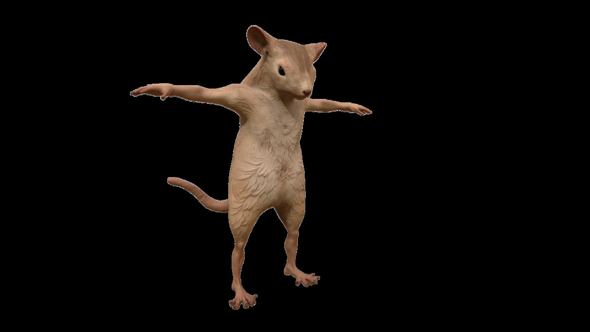 GerbilMan ‒ Stylized Desert Mouse Warrior