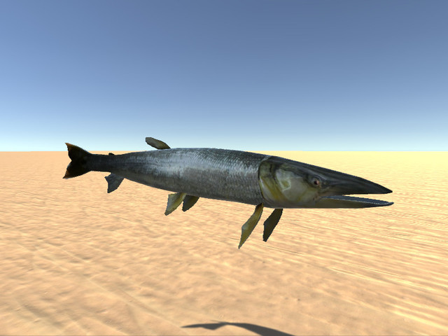 Freshwater fish complete pack